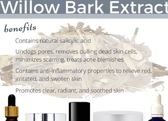 Willow Bark Extract - manufacturer - undersun
