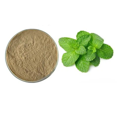Peppermint Extract Powder - manufacturer - undersun