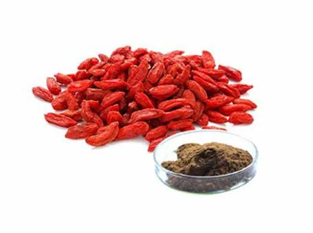 Goji Berry Extract Powder - manufacturer - undersun