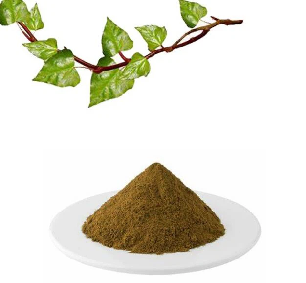 Ivy Leaf Extract - Wholesale in Bulk - undersun