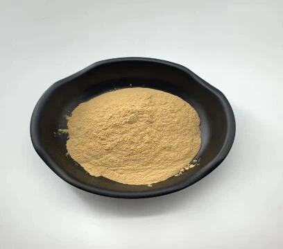Coleus Forskohlii Root Extract - manufacturer - undersun