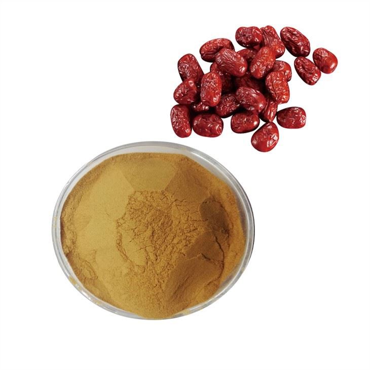 Jujube Powder - manufacturer - undersun