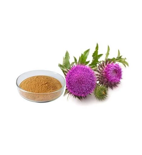 Milk Thistle Powder Bulk - manufacturer - undersun