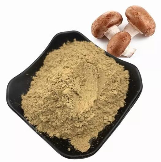Freeze Dried Shiitake Mushroom Powder - manufacturer - undersun