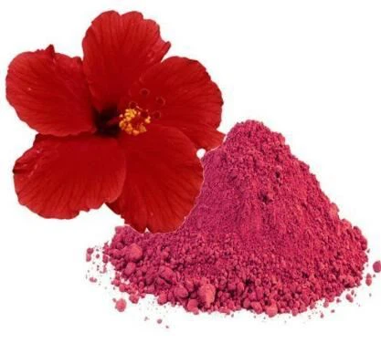 Hibiscus Powder - manufacturer - undersun