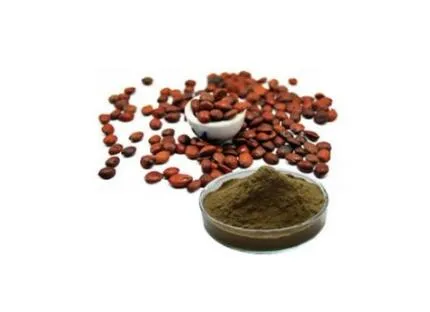 Jujube Seed Powder - Jujube Seed Extract - undersun