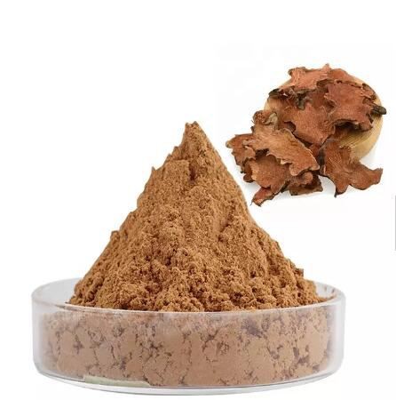 Smilax Extract - manufacturer - undersun